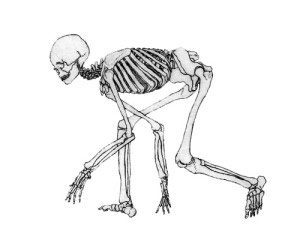 "Starvation Mode?" - How Dieting Affects Us and How to Reverse It